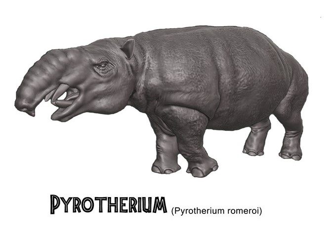 Pyrotherium