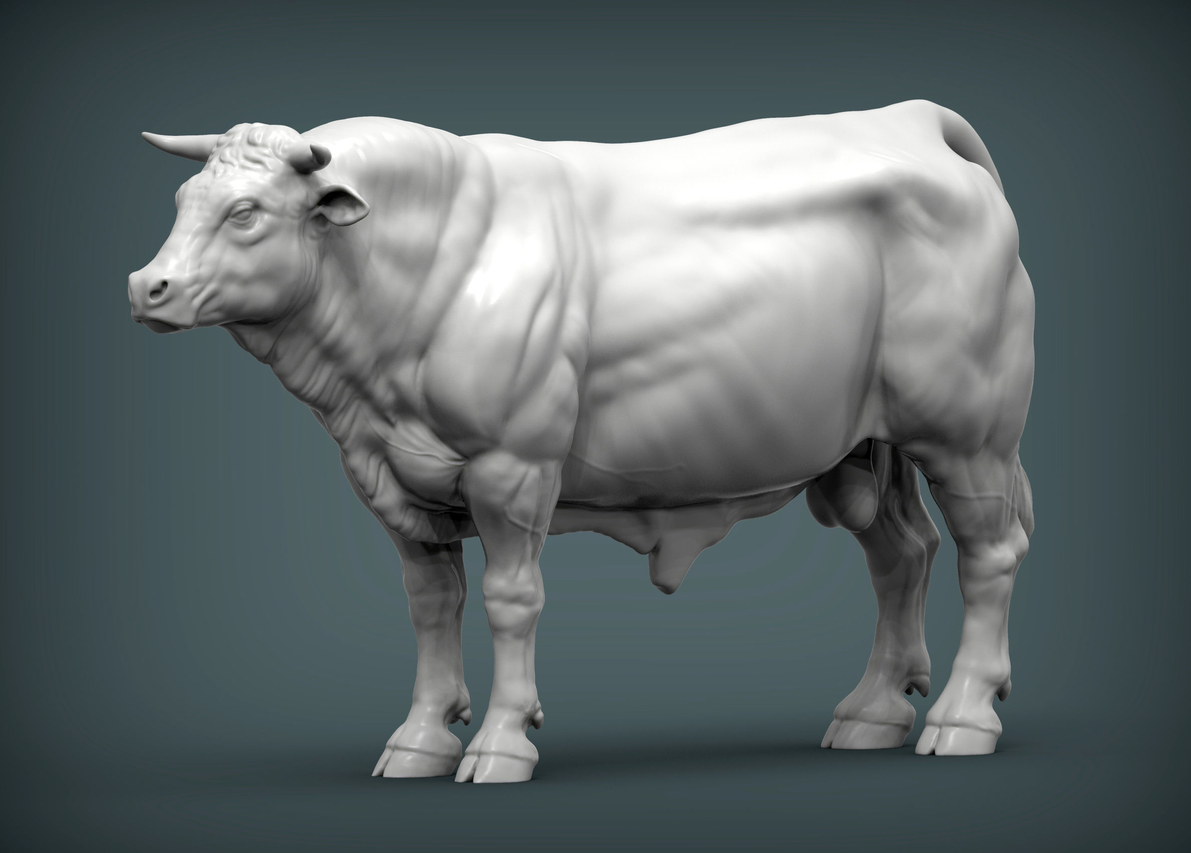 bull model –