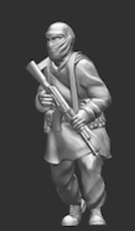 Middle East and North Africa rebel, standing guard